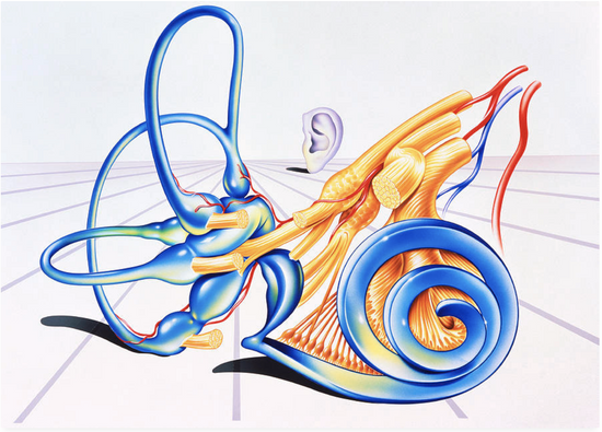 PatulEND® - Relief for Patulous Eustachian Tube